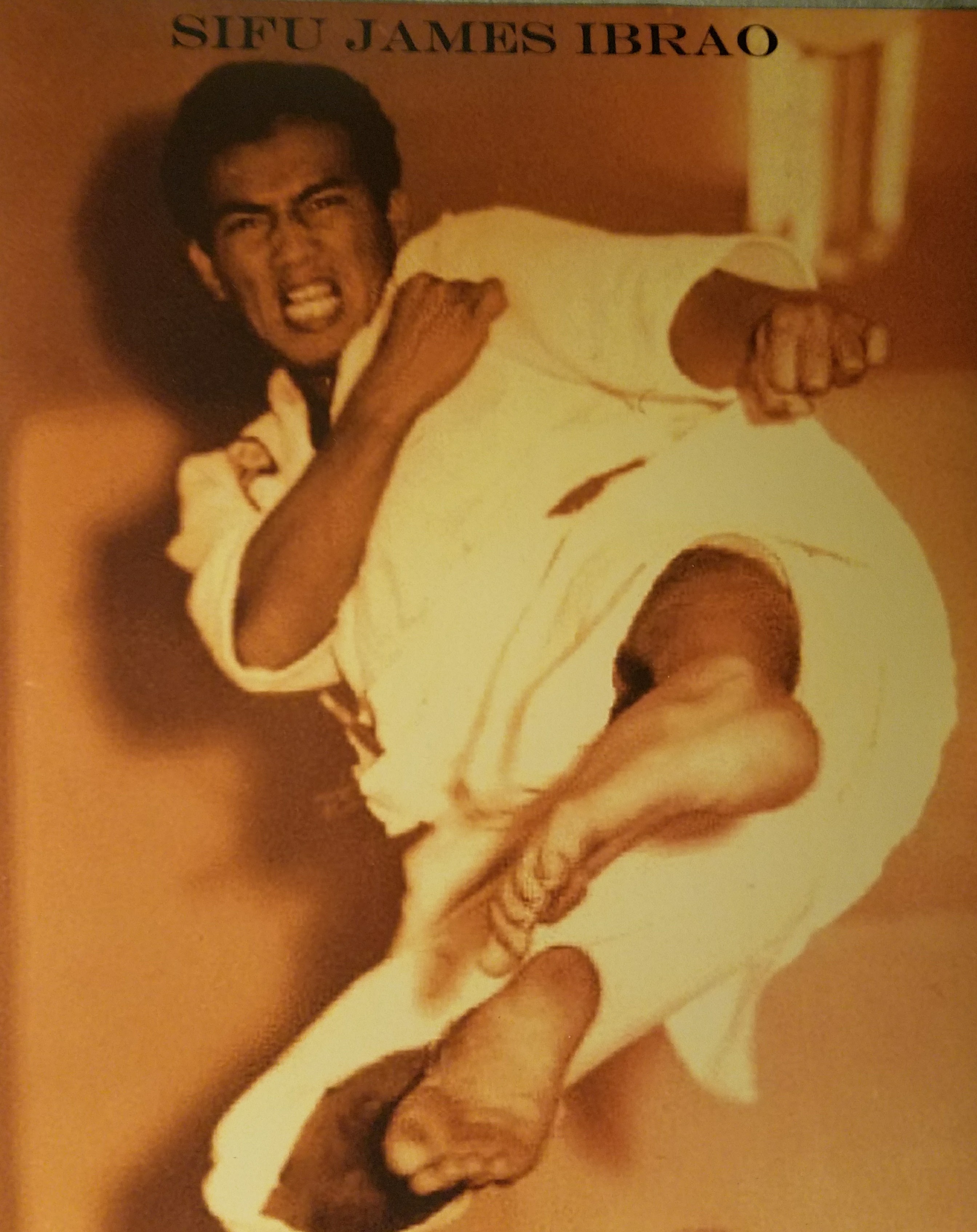 Gallery – Jun Bao Gung Fu